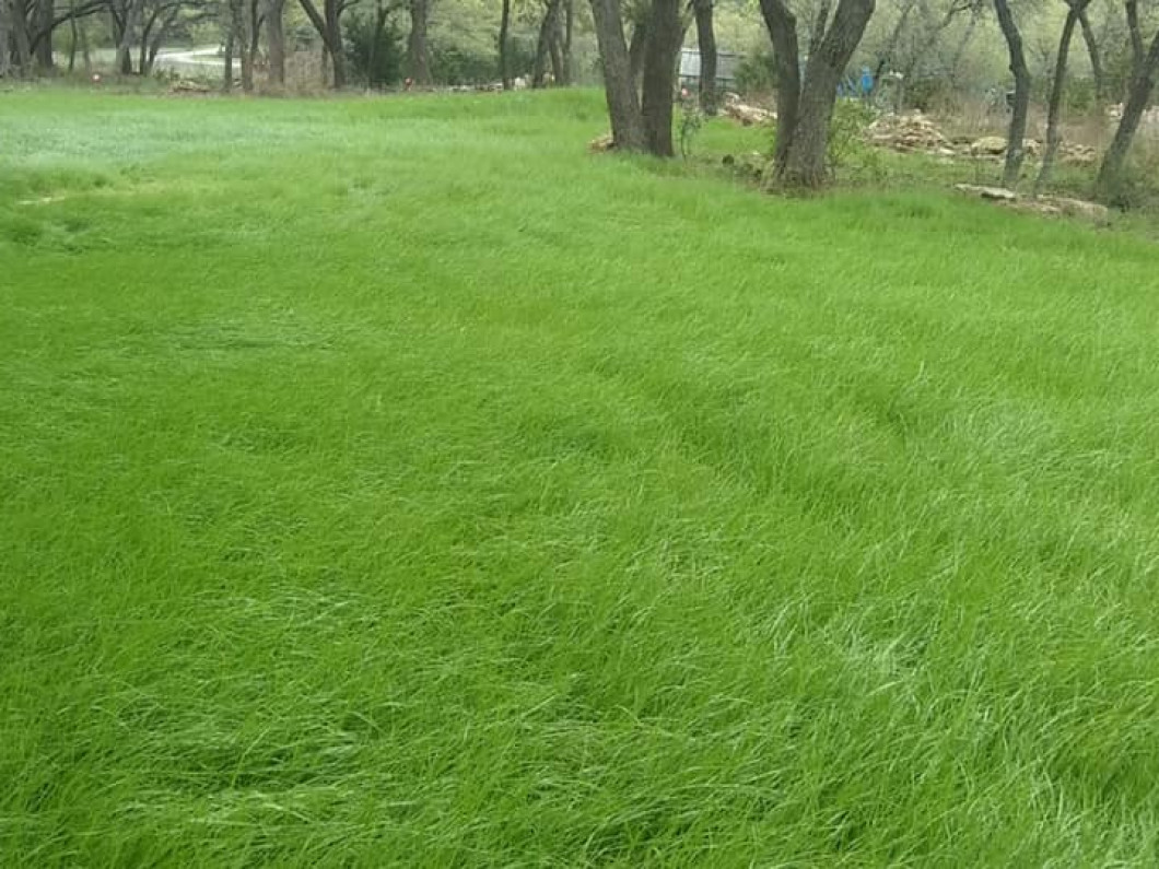 Hydromulching Services | Salado, TX | Texas Hydroseeding & Erosion Control