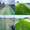 What To Expect | Texas Hydroseeding & Erosion Control