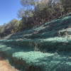 Before & After | Texas Hydroseeding & Erosion Control